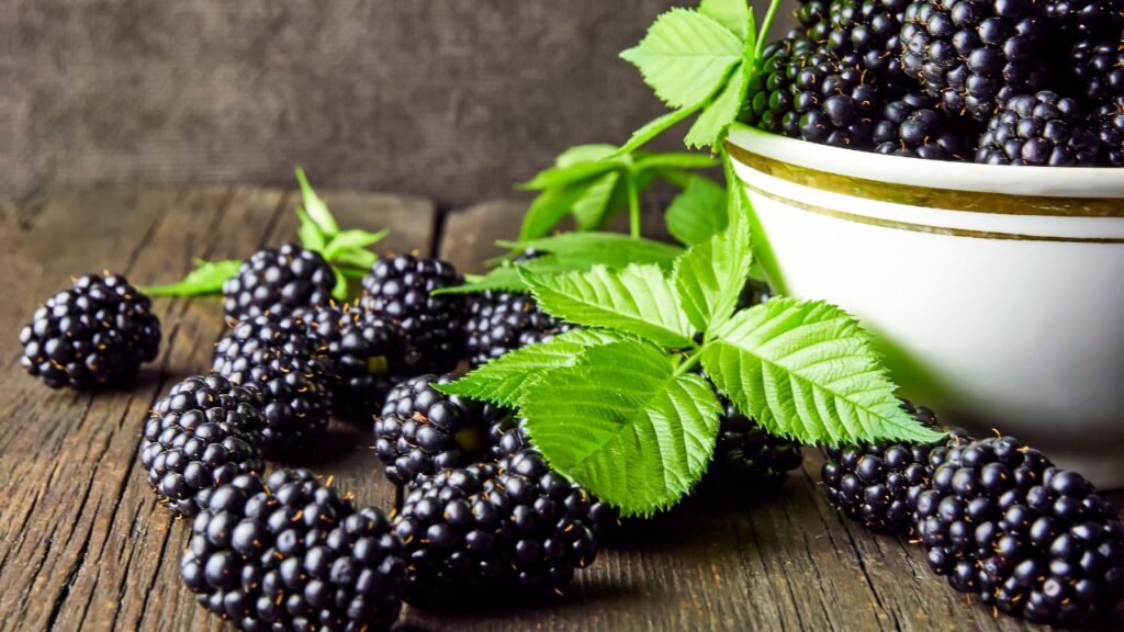 Mora, i benefici di questo fantastico frutto che non tutti conoscono ...