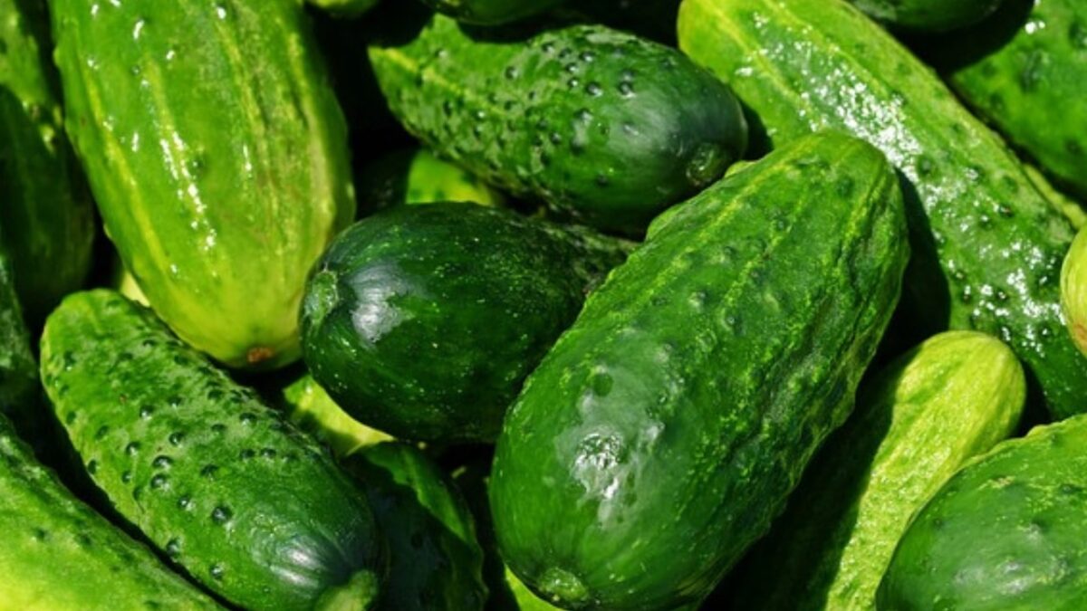I benefici dei cetrioli: è davvero importante mangiarli tutti i giorni?