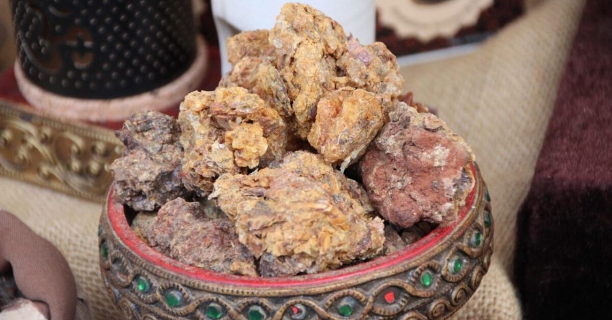 Mirra: tutte le curiosità sulla sua storia e sulle sue proprietà