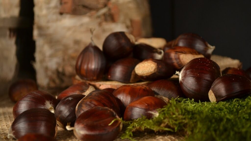 Castagne e marroni: tutte le differenze per distinguerle e non sbagliare