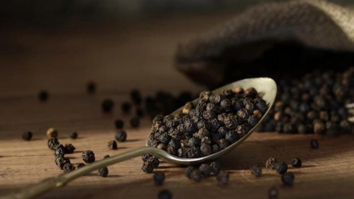 Come coltivare il pepe nero dai semi a casa: il consiglio degli esperti