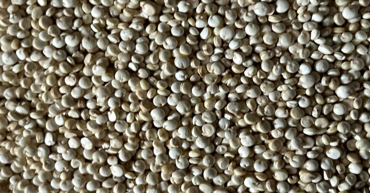 Semi di quinoa: benefici e proprietà nutrizionali di una pianta utile ...