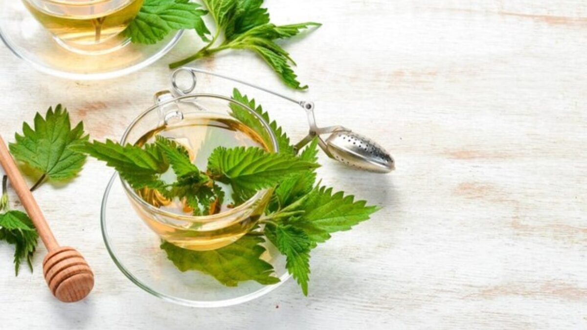 Le meravigliose proprietà dell'ortica e la sua efficacia in campo medico