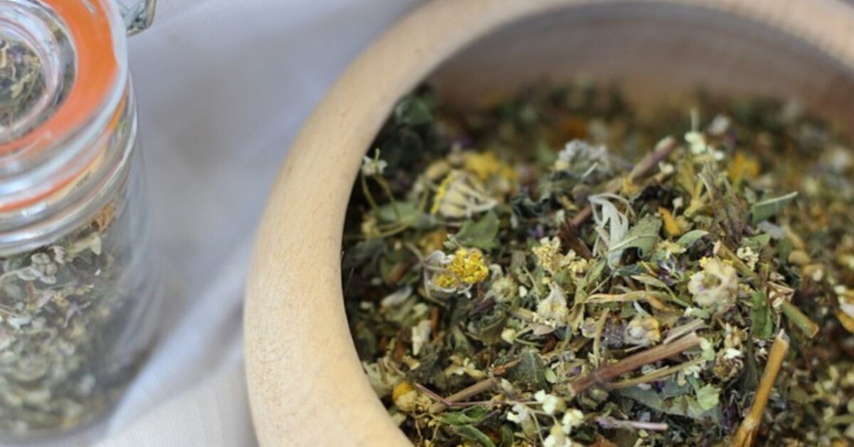 Come coltivare l'Assenzio: tutti i segreti per dar vita a una pianta ...