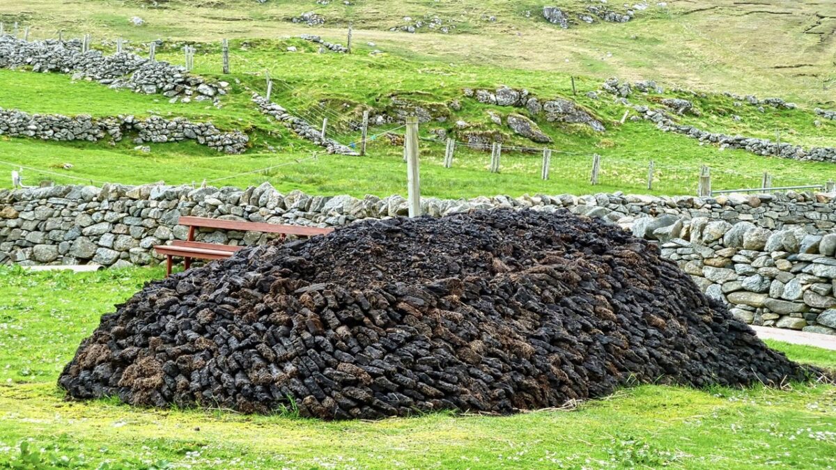 Che cos'è la torba e a cosa serve? Tutto quello che volevate sapere su ...