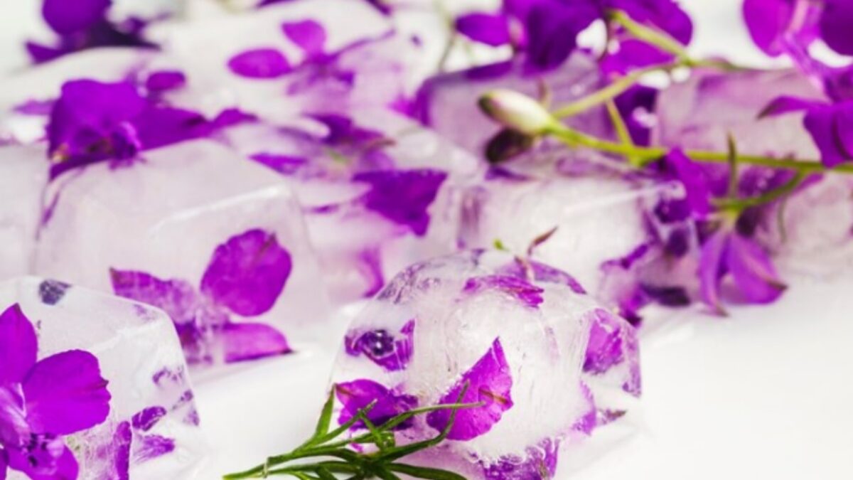 Il lillà o fiore del paradiso: cura e significato