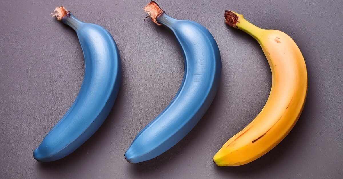 Banana Blue Java: caratteristiche e utilizzi del frutto che sa di ...