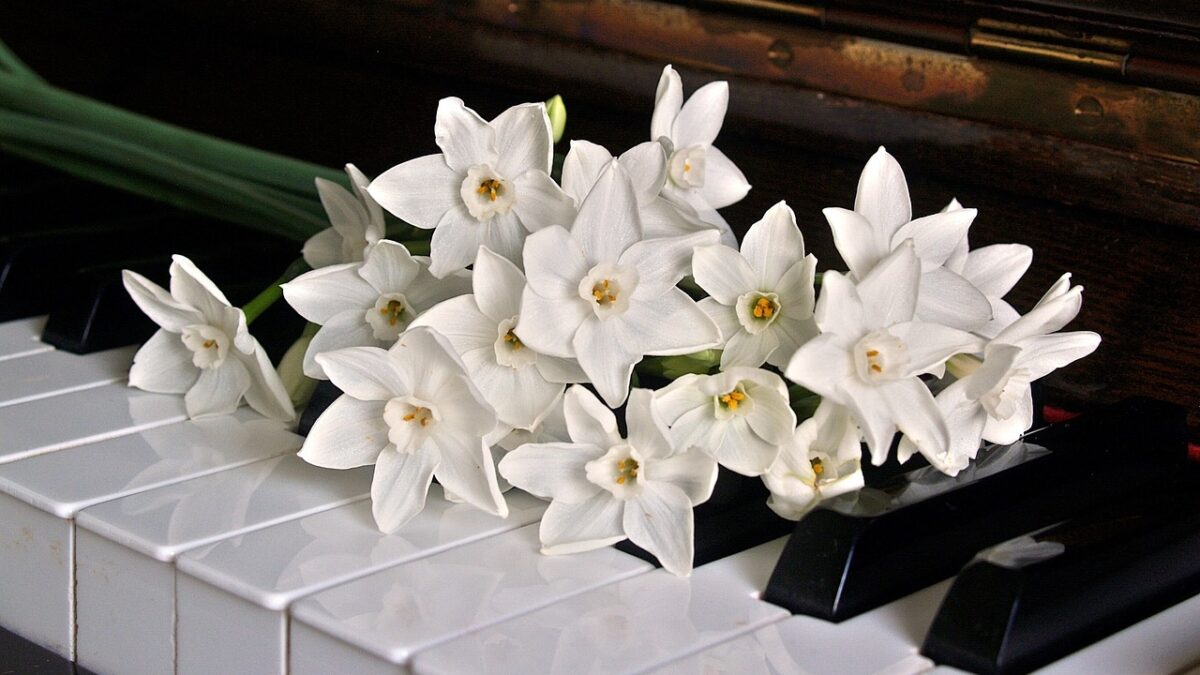 Giunchiglia: simbologia e caratteristiche di questo narciso particolare