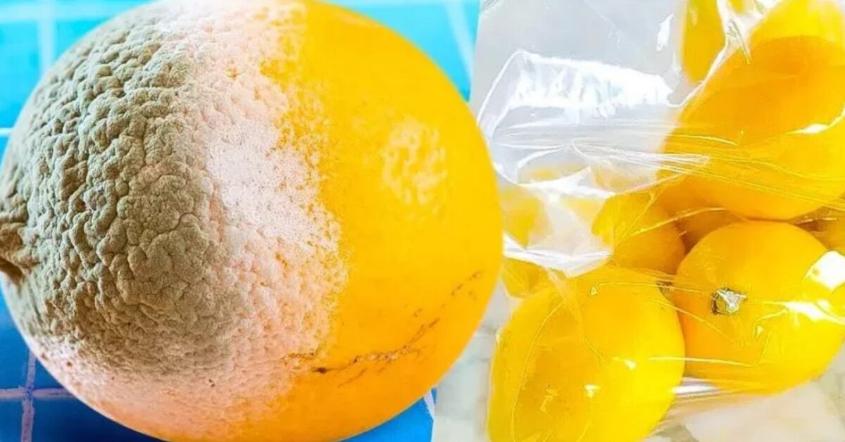Il trucco per mantenere i limoni freschi per 1 anno: niente più ...