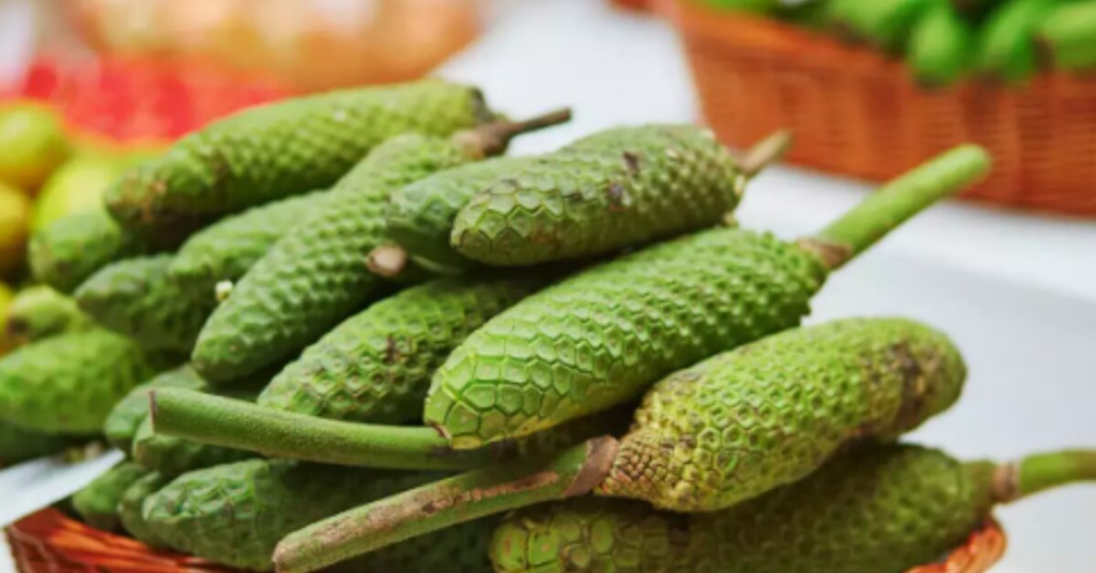 Monster fruit, il frutto tropicale con le squame: sapevi che può essere ...