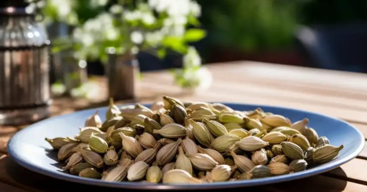 Come coltivare una pianta di cardamomo dai semi e come prendersene cura