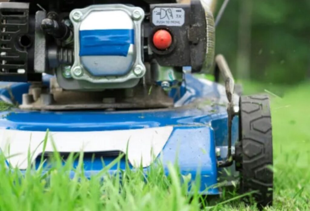 Come eliminare l'erba gramigna: vi sveliamo 3 semplici consigli