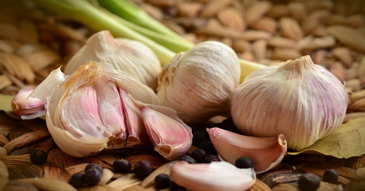 Prova lo spray alcolico all'aglio, è un efficace insetticida naturale