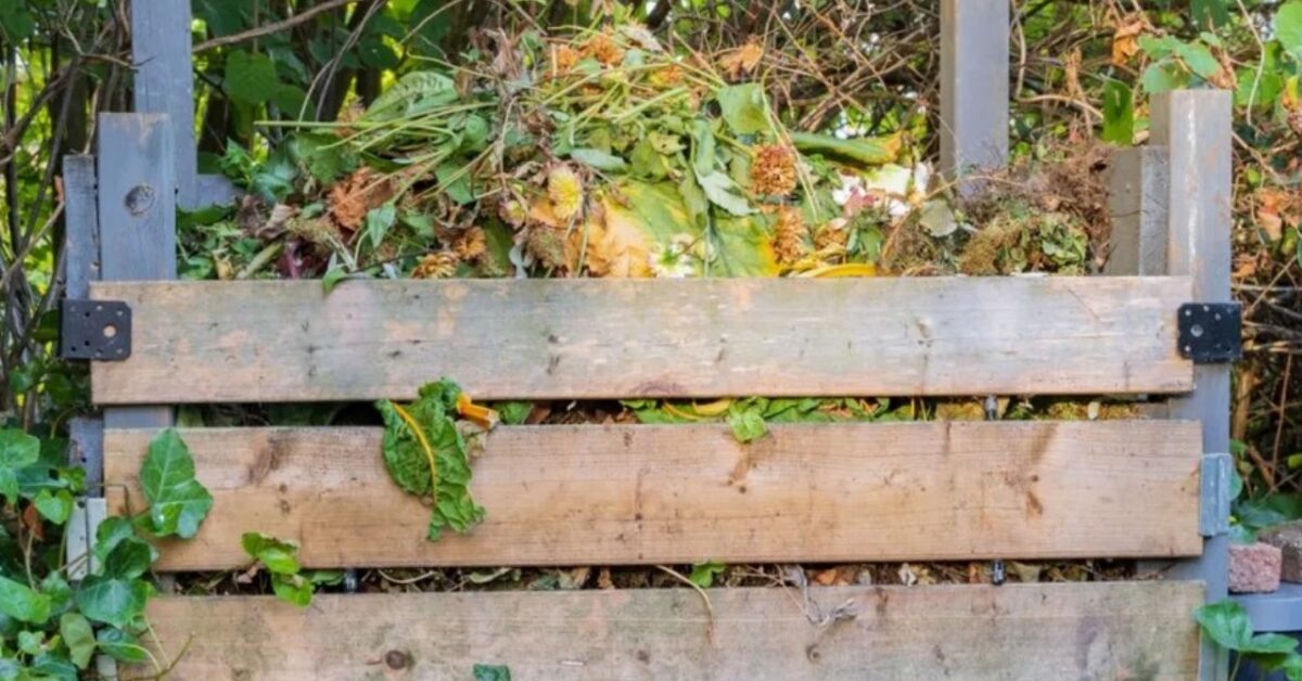 Come creare il perfetto cumulo di compost autunnale per averlo la ...