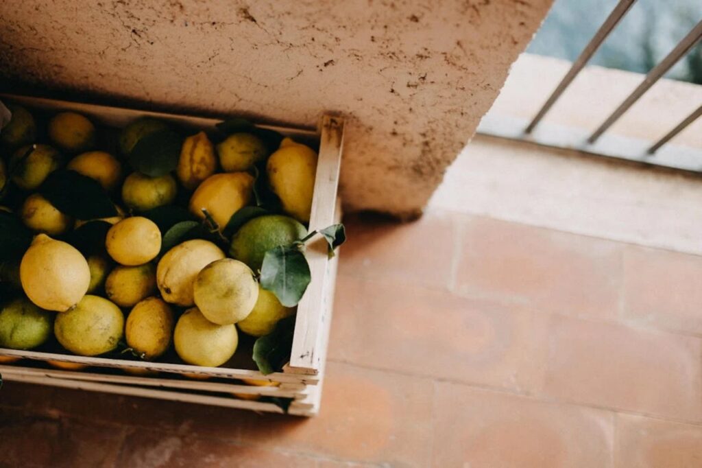 Come combattere la fumaggine del Limone: cause nascoste e soluzioni ...