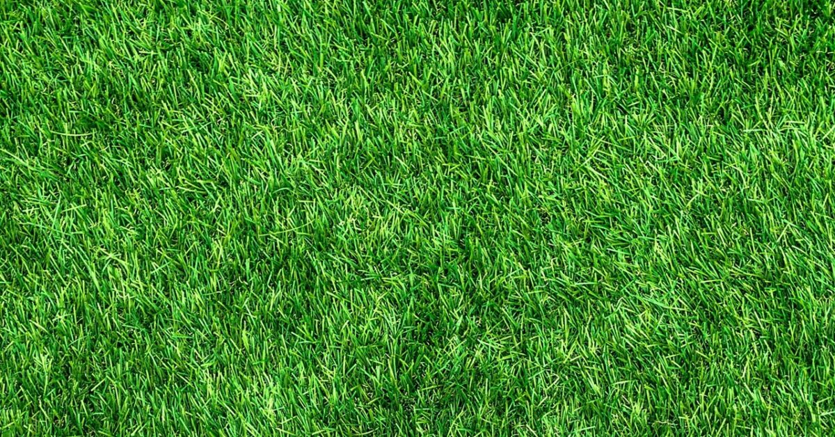 Come tagliare l'erba artificiale per avere un giardino impeccabile?