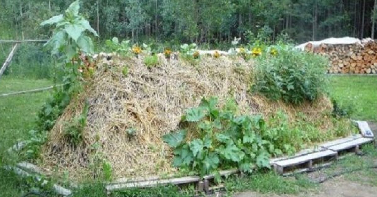 Il segreto per un giardino più efficiente: realizza delle aiuole Hügel ...
