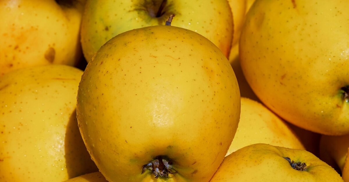 Mela Golden: tutto ciò che devi sapere su questo frutto