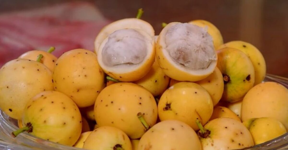 Bacuri: il frutto che unisce gusto e benessere in modo sorprendente